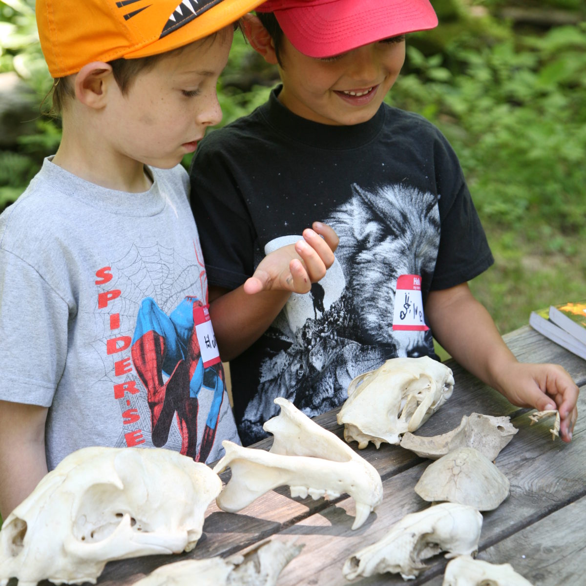 Flying Deer Day, June 14, 2025, 11:00 am–4:00 pm - Flying Deer Nature ...